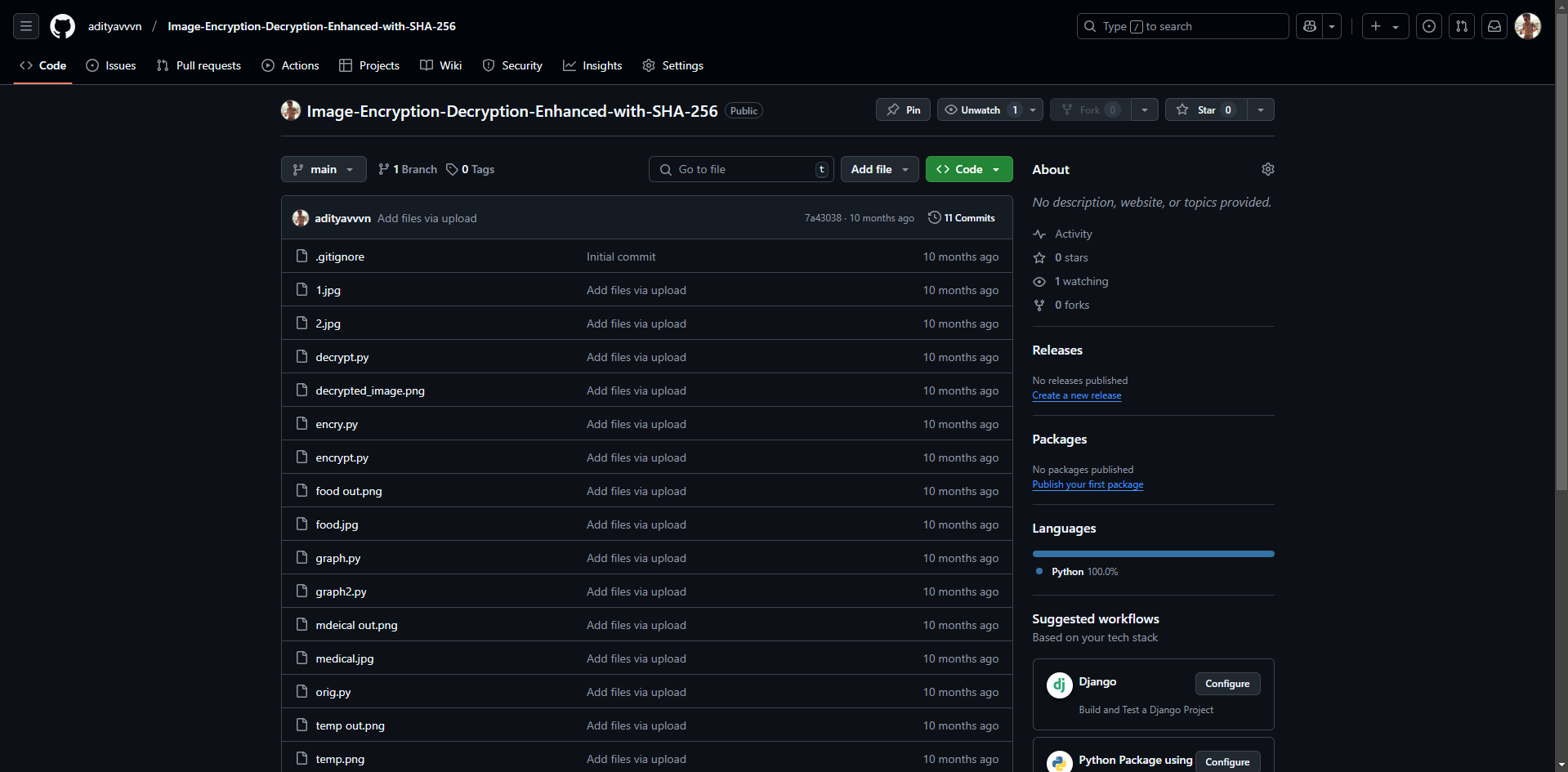 V V V N Udayaditya - Software Engineer & Project Developer